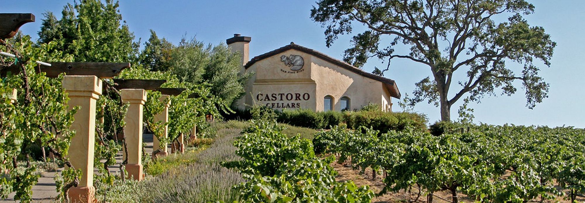 Castoro Cellars | ZAP