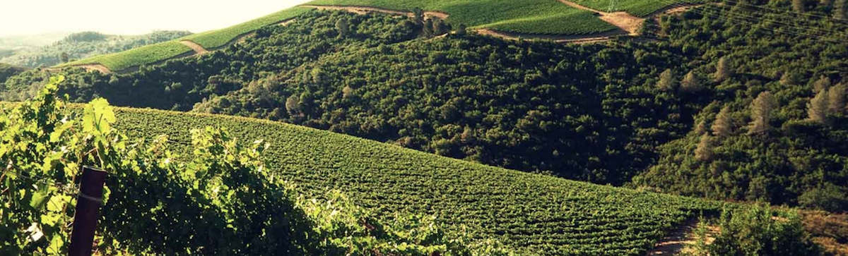 Brassfield Estate Winery | ZAP